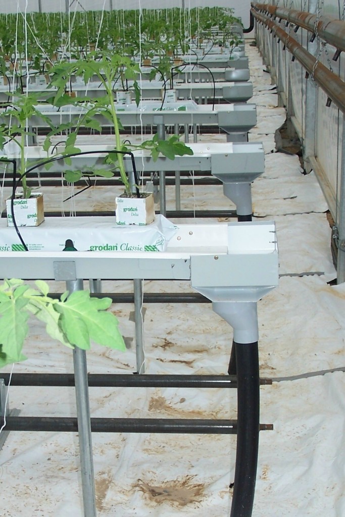 Drip Fertigation Systems - Pure Hydroponics